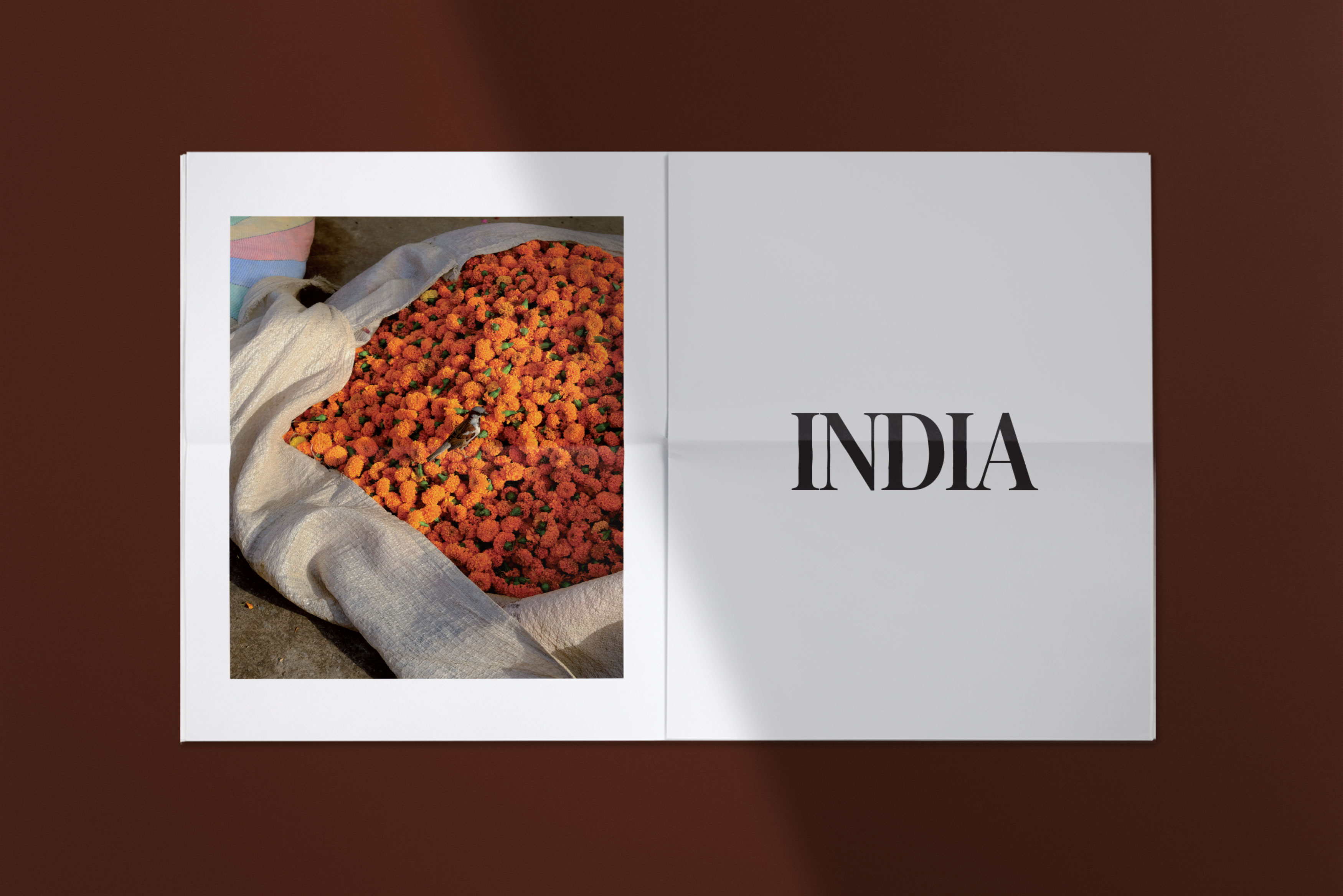 Without Borders, issue 1 - Fonts In Use Without Borders, issue 1 - Fonts In Use